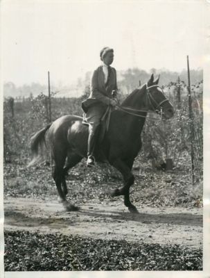1933 Eleanor Roosevelt Riding Her Horse "Dot" Photo -- Antique Price ...