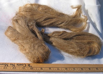 3 Primitive Blonde Human Hair Skeins -- Antique Price Guide Details Page