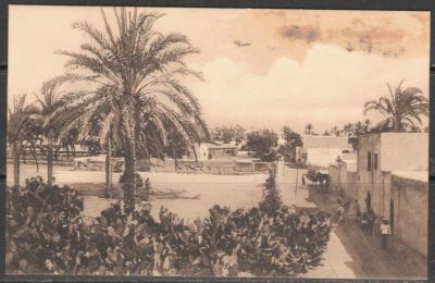 LIBYA Tripoli suburbs vintage ppc -- Antique Price Guide Details Page