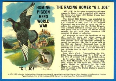 The Racing Homer "G.I. Joe", Homing Pigeon Hero World War II -- Antique ...