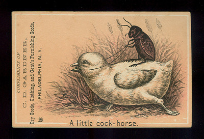 Cockroach Riding A Big Chick-1880s Victorian Trade Card -- Antique ...