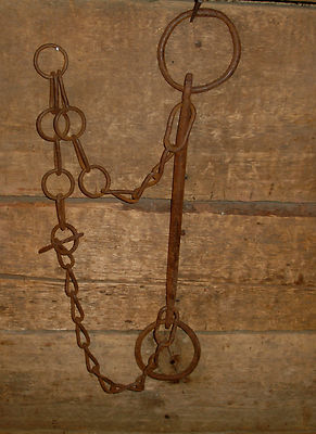 VINTAGE HORSE OXEN LIVESTOCK RUSTY CHAIN FARM ART BARN FIND STALL TIE ...