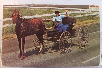 Pennsylvania PA Amish Courting Buggy Postcard Old Vintage Card View ...