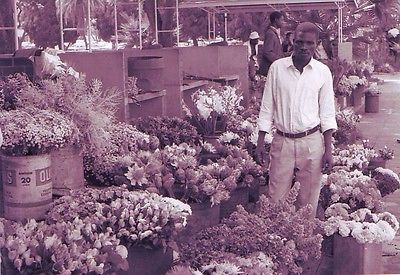 Rhodesia: Flower seller, Cecil Square, Stanley Ave, Salisbury, 1962 ...