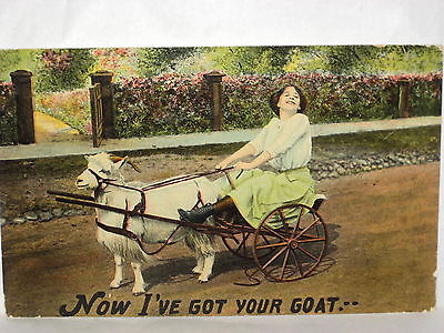 1910 POSTCARD NOW I'VE GOT YOUR GOAT, GIRL RIDING GOAT CART -- Antique ...