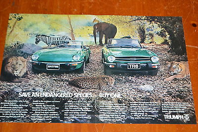 COOL 1976 TRIUMPH SPITFIRE AND TR6 AD -- Antique Price Guide Details Page