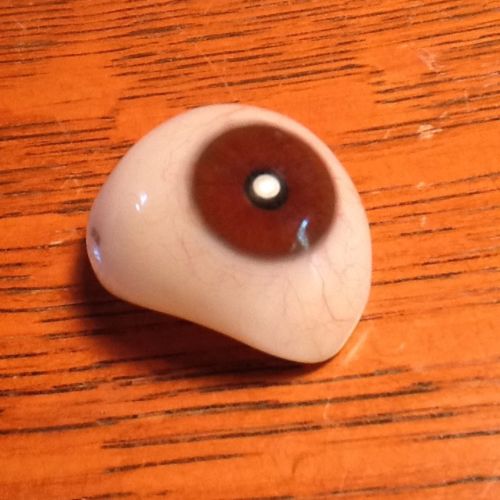 Vtg Human Prosthetic Glass Eye Brown Iris Medical Antique Number Halloween Antique Price