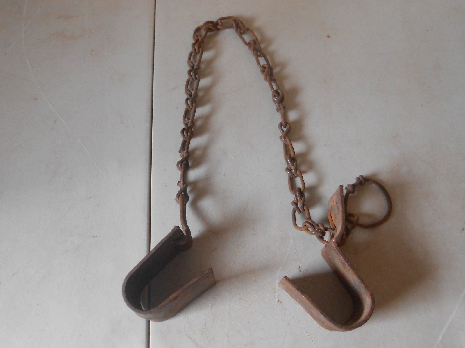 Antique Primitive Cattle Cow Hock Hobbles So-Boss Shackles Milking ...