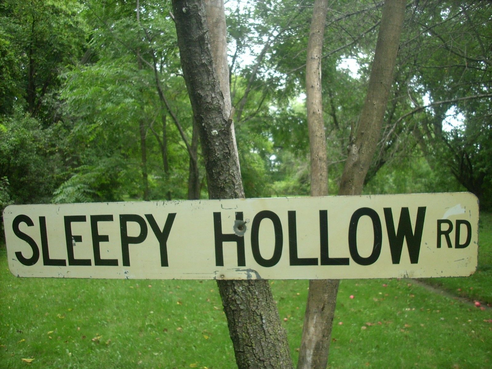 VINTAGE TOWN ROAD SIGN SLEEPY HOLLOW ROAD HEAVY METAL TWO SIDED 36 X