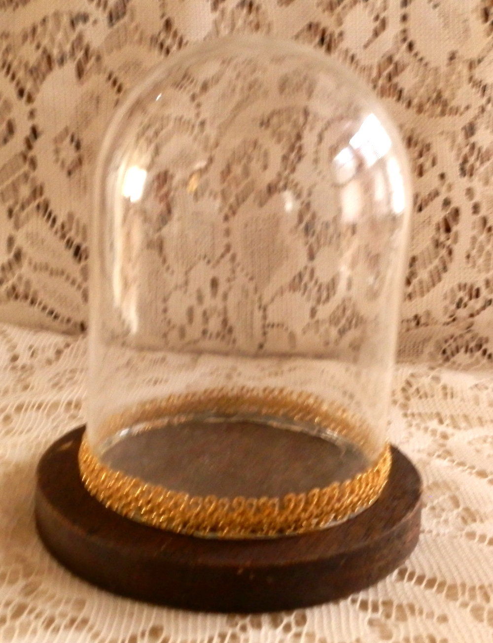 VINTAGE SMALL WAVY GLASS DOME WOOD BASE DISPLAY -- Antique Price Guide ...