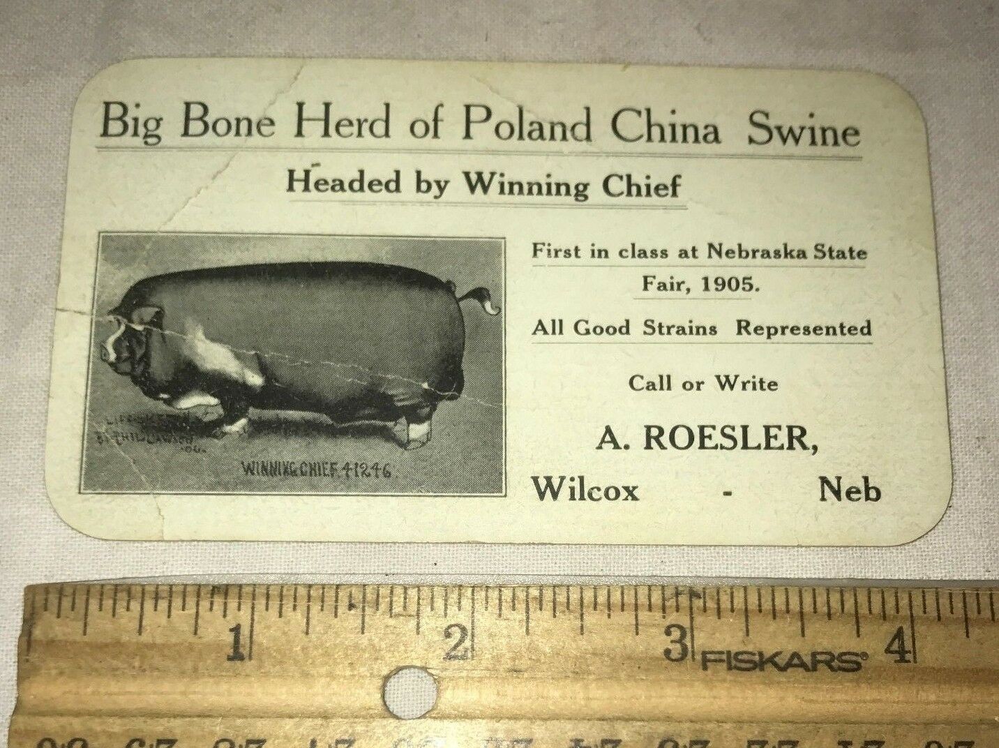 ANTIQUE FARM CALLING BUSINESS CARD WILCOX NE BIG GONE POLAND CHINA ...