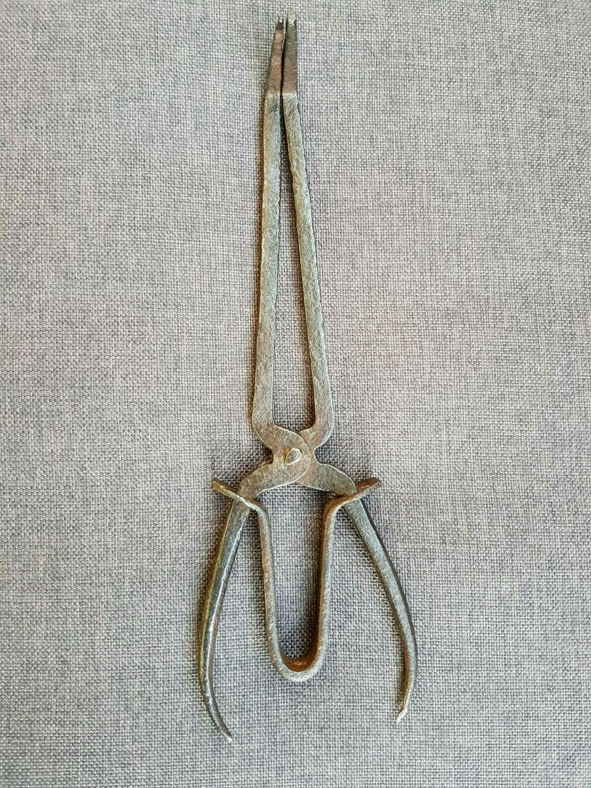 Very Rare circ 17th Century Medical Instrument Iron Forged Forceps ...