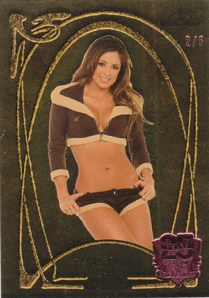 2019 BENCHWARMER 25 YEARS TANEA BROOKS GOLD EDITION PINK FOIL INSERT CARD /5 -- Antique Price ...