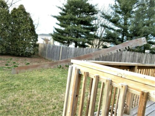 Vintage Perforated Lance Tooth Pattern Crosscut logging Saw. Decor ...