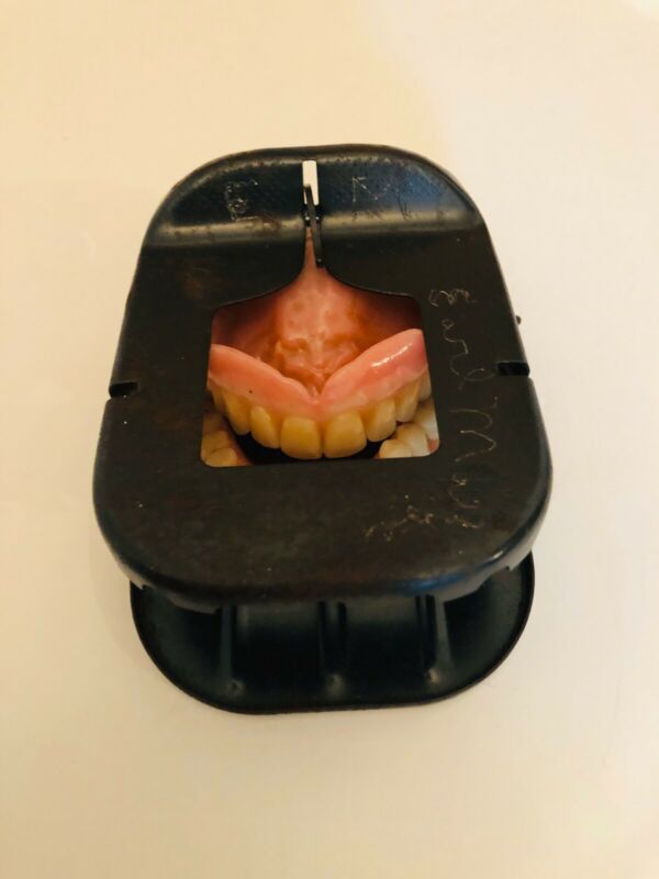 Rare One Of A kind False Teeth Mouse Trap Comedy -- Antique Price Guide ...