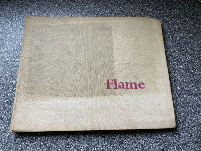 Flame Daphne Winstone illus Lionel Edwards 1945 1st ed Peter Lunn ...