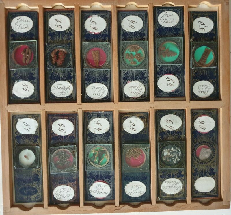 VERY FINE SET OF 12 ANTIQUE WOODEN OPAQUE MICROSCOPE SLIDES BY FISHER Antique Price Guide 